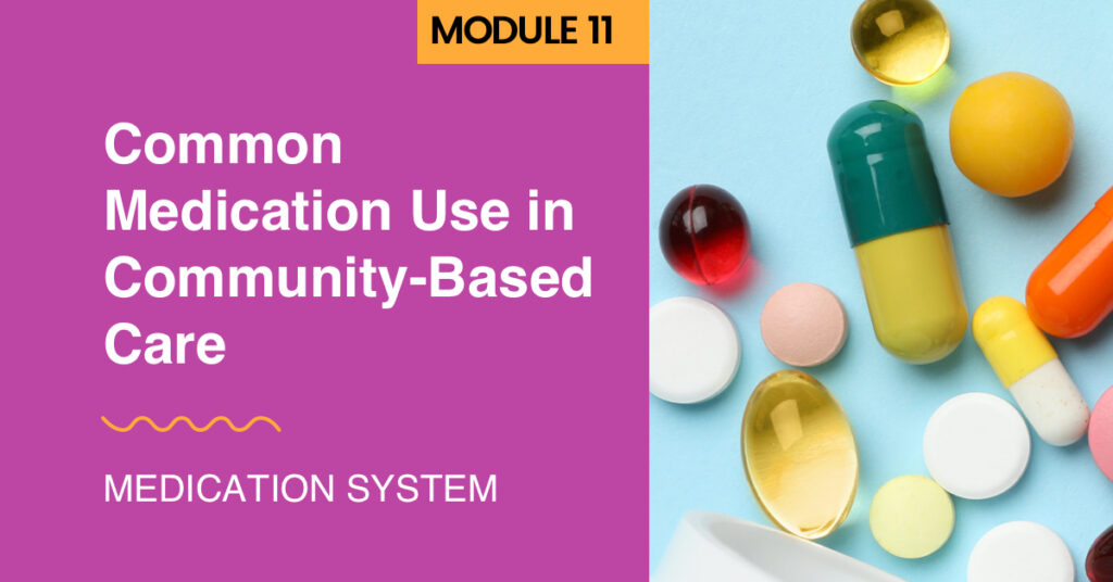 NurseLearn. Community-Based Care Training-AFH2